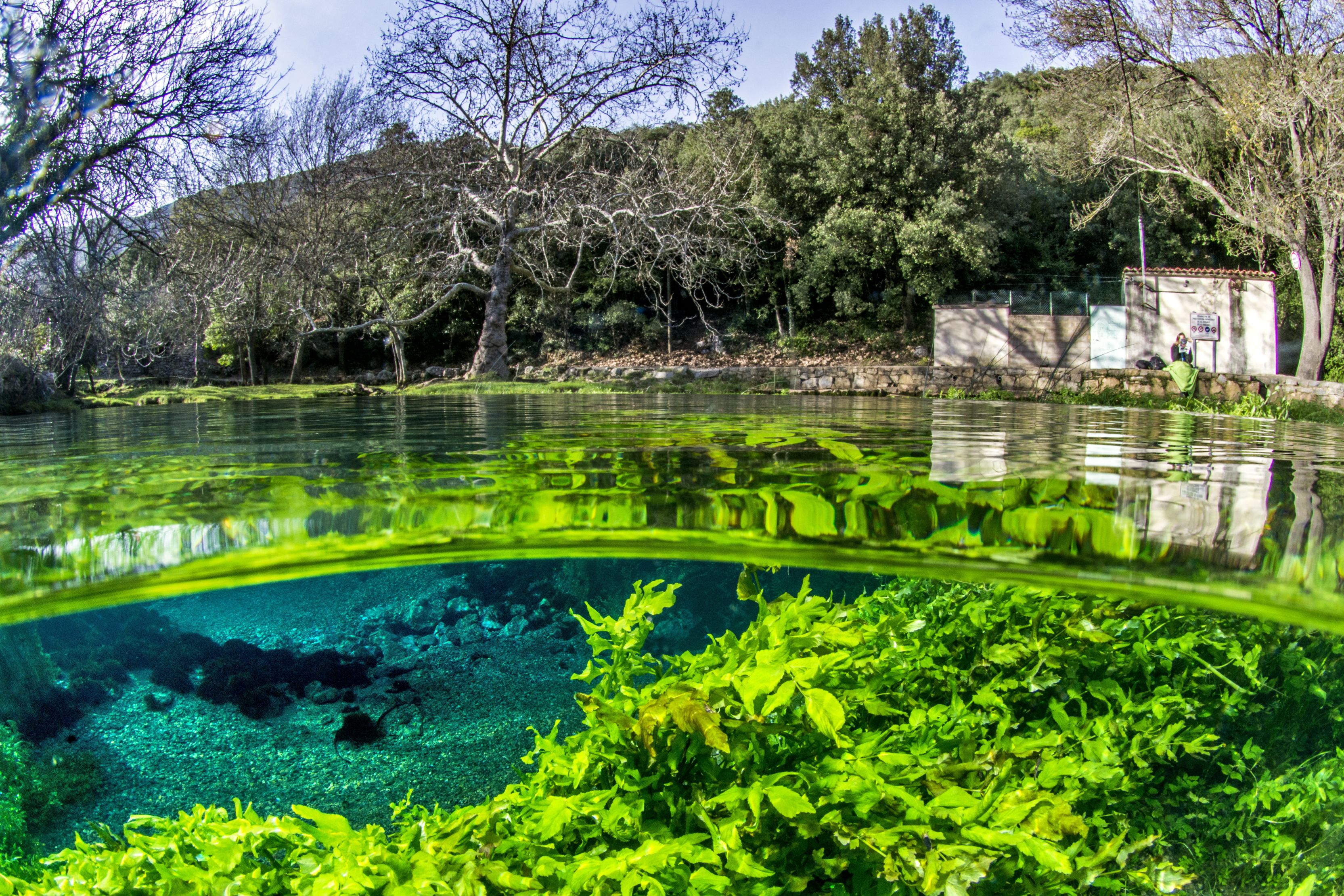 En Immersion - La source de la Buèges